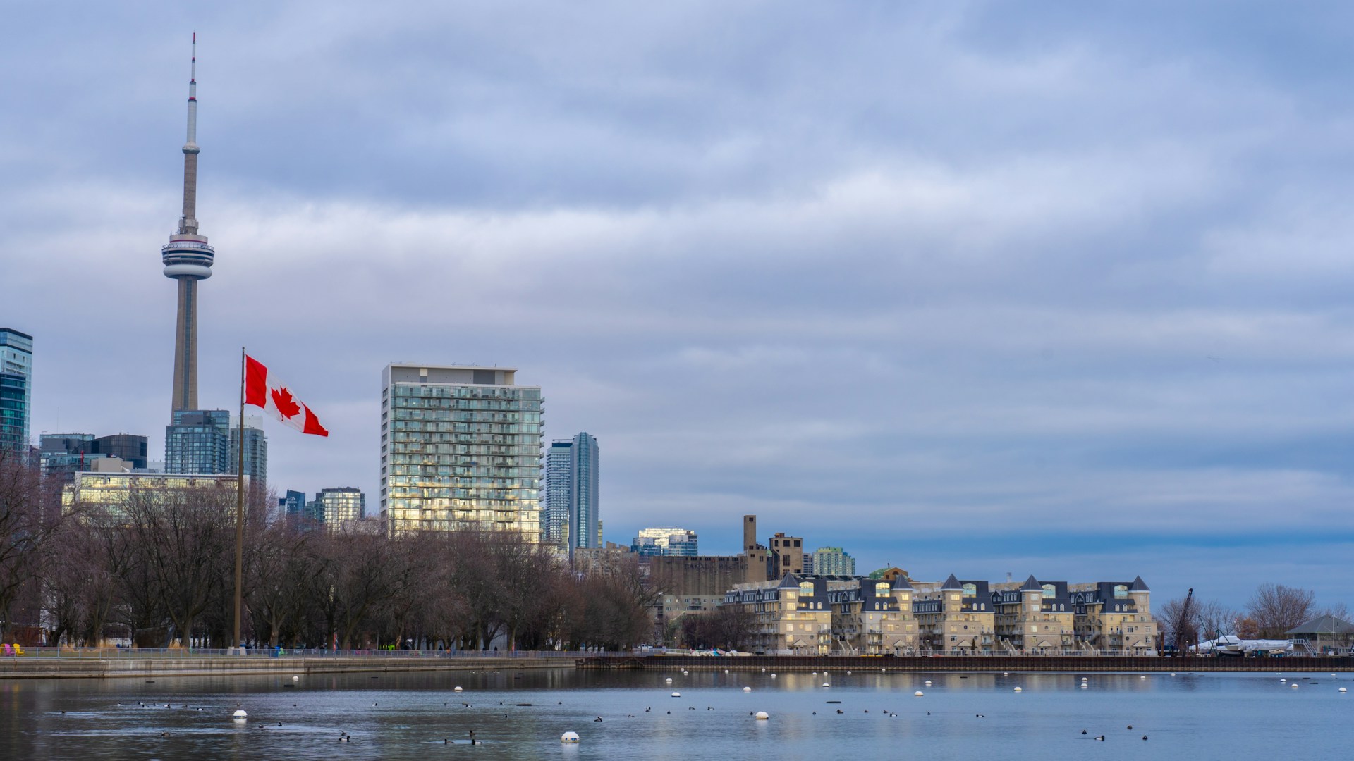 These 200 Canadian Startups are Hiring Right Now - Tech Talent Canada These 200 Canadian Startups are Hiring Right Now - Tech Talent Canada